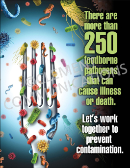 Contamination - Foodborne Pathogens Poster