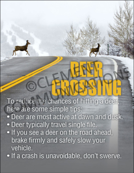 Winter Hazards, Deer Crossing - Poster