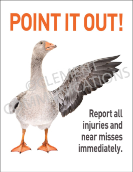 Point It Out! Injury & Near Miss Reporting Poster | Clement