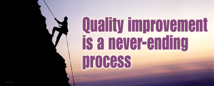 Quality Improvement is a Never-Ending Process